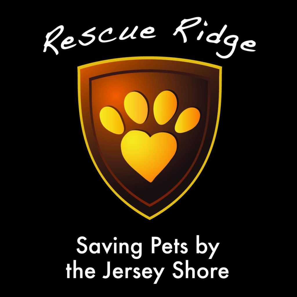 Rescue Ridge - Saving Pets by the Jersey Shore : Asbury Park Chamber of ...